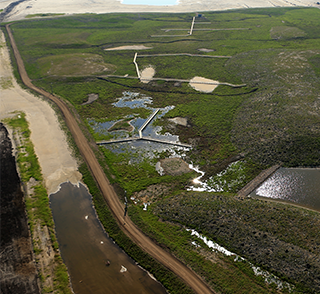 Syncrude (Environmental Excellence)